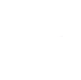 Washington Consultancy Services